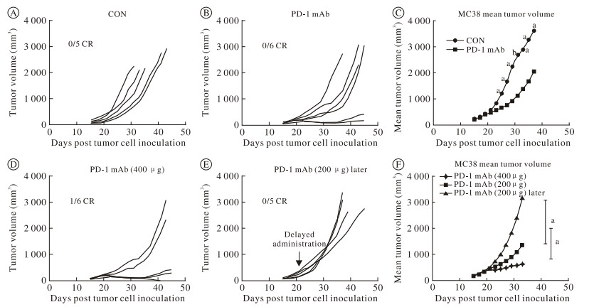 探讨PD-1抑制剂在不同小鼠肿瘤模型中的应答差异