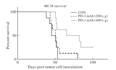 Differential PD-1 inhibitor efficacy among different mouse tumor models