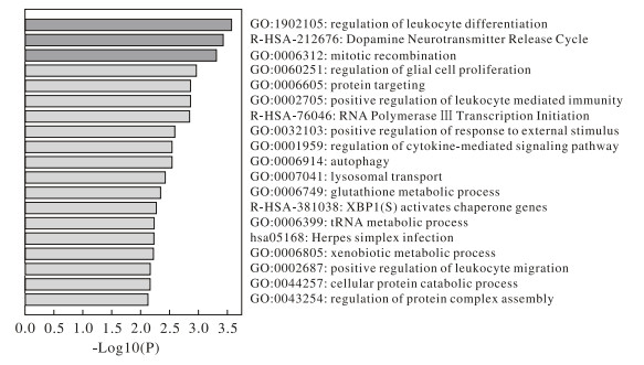 胃癌转移的分子特征分析及预后评估