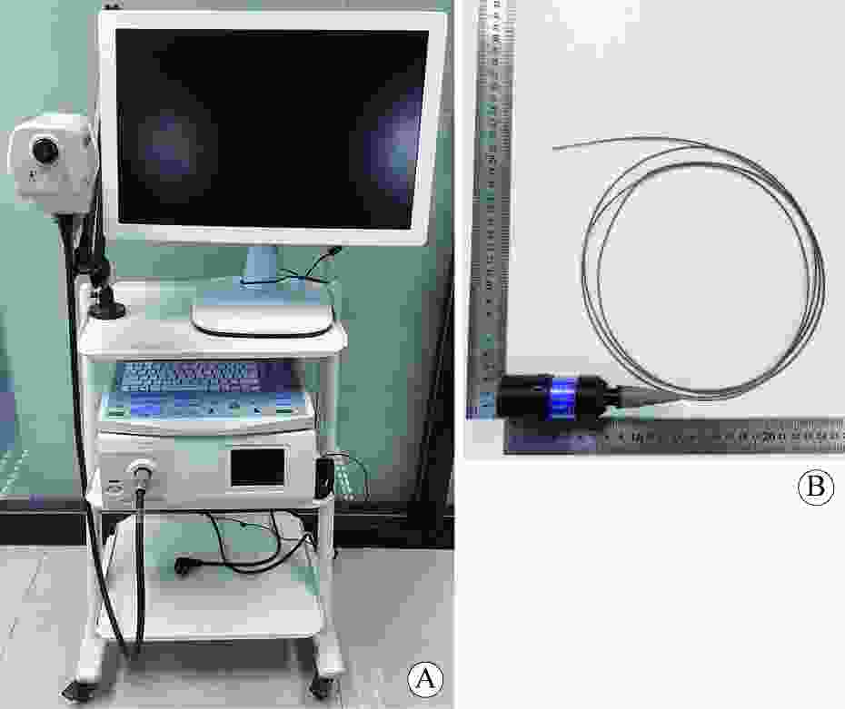 Application of a self-developed medical radial probe intratracheal ...