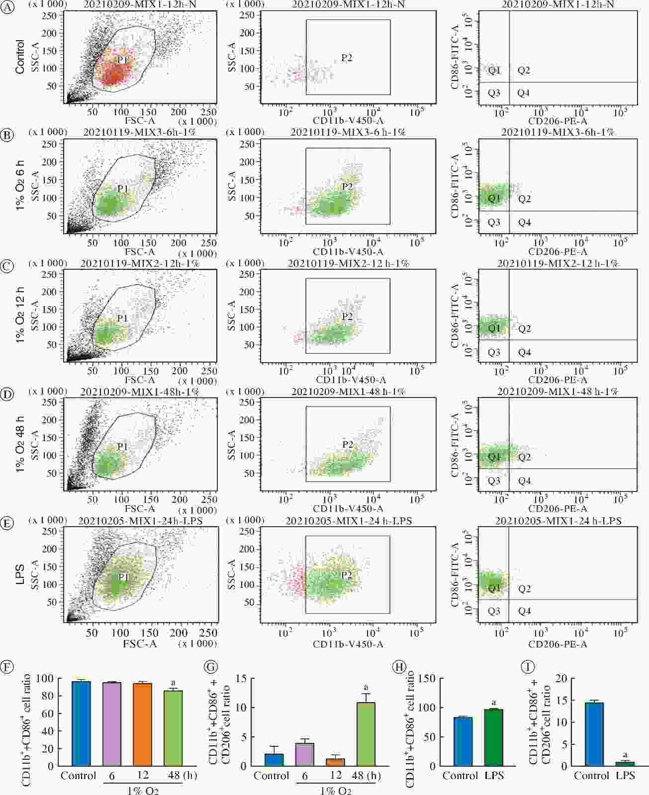 NLRX1对低氧诱导的小胶质细胞极化的影响