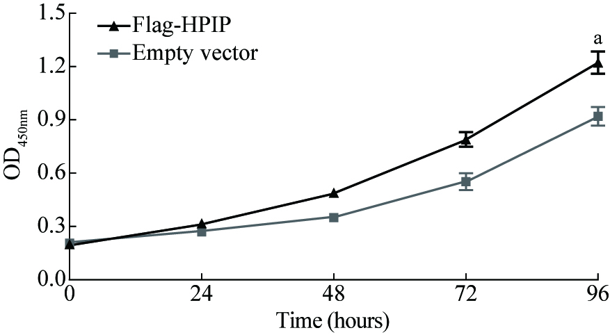 人HPIP基因真核表达载体的构建及其对肺癌细胞的生物学影响