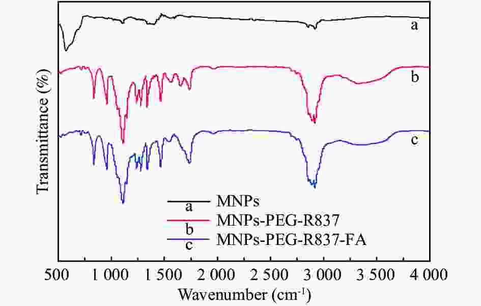 聚乙二醇化锌铁氧磁性纳米颗粒对咪喹莫特的载药性能及细胞毒性研究