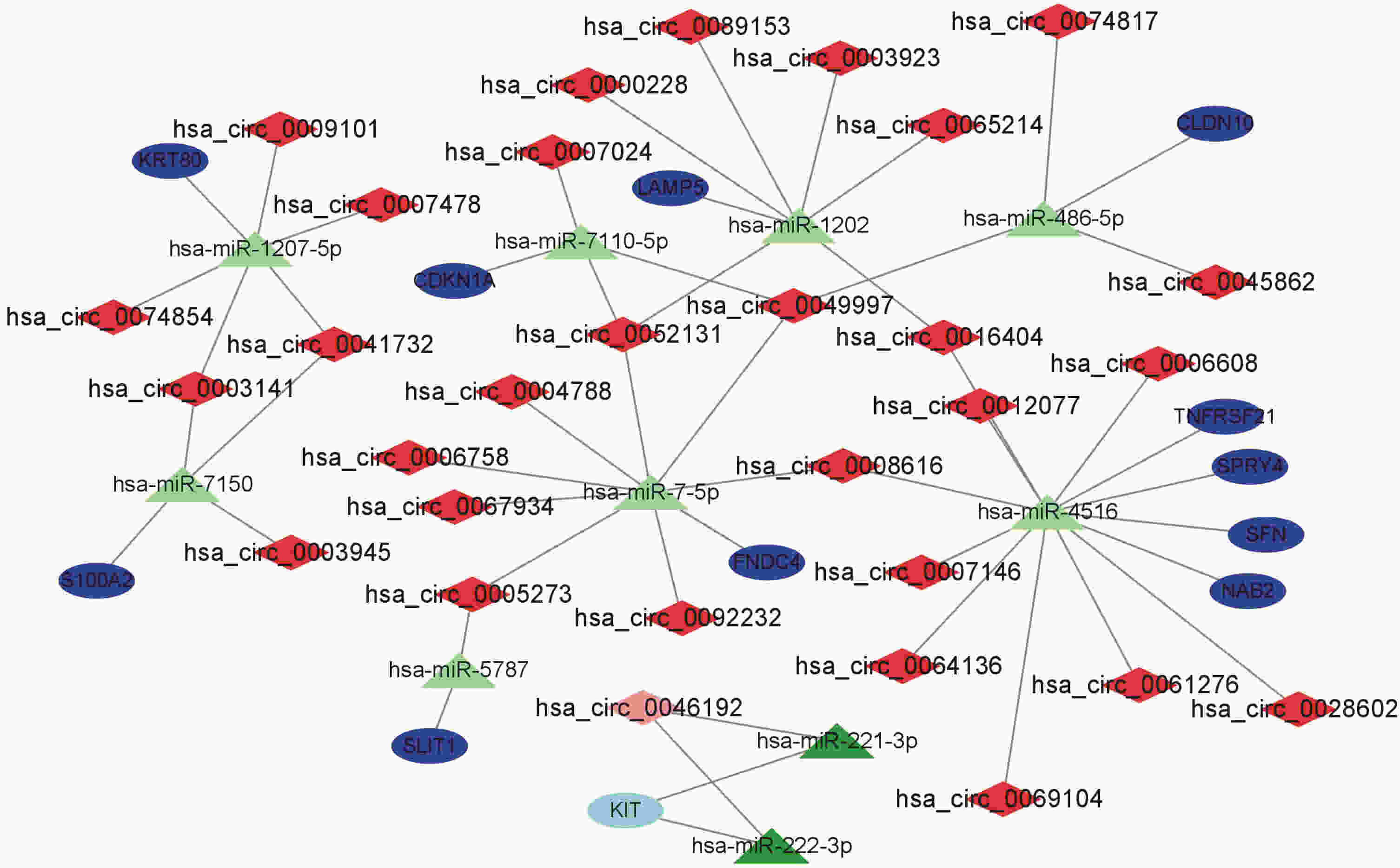 基于circRNA-miRNA-mRNA网络揭示circRNA在甲状腺乳头状癌中的作用