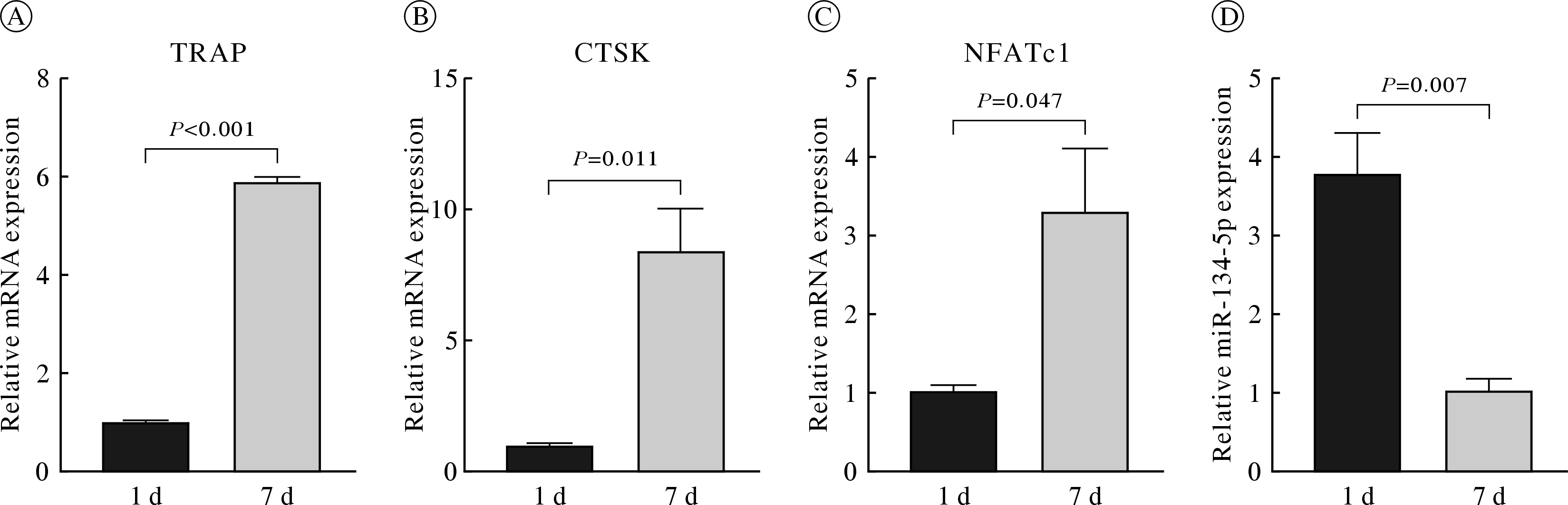 骨改建中miR-134-5p通过靶向Itgb1抑制小鼠破骨细胞形成的研究