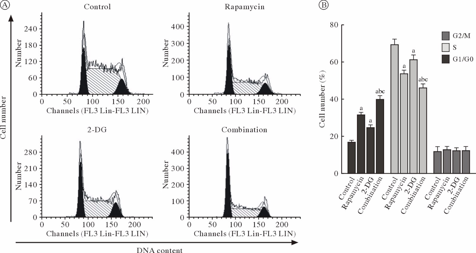 雷帕霉素联合2-DG对多发性骨髓瘤细胞增殖和凋亡的影响