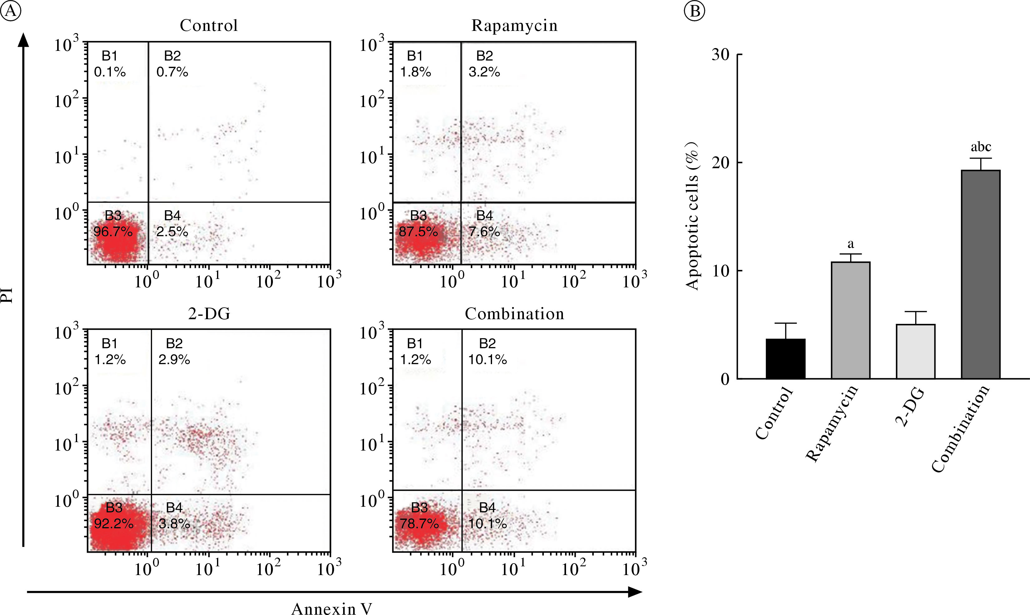 雷帕霉素联合2-DG对多发性骨髓瘤细胞增殖和凋亡的影响