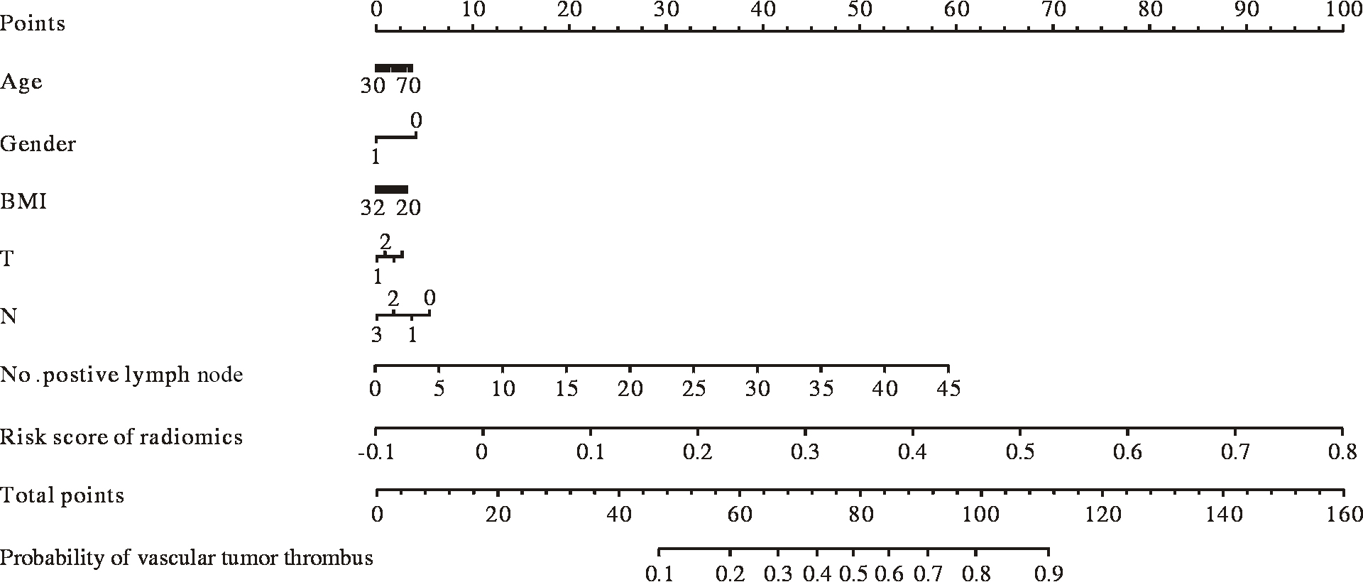 增强CT影像组学评分和临床指标列线图预测食管胃结合部腺癌患者脉管癌栓的价值