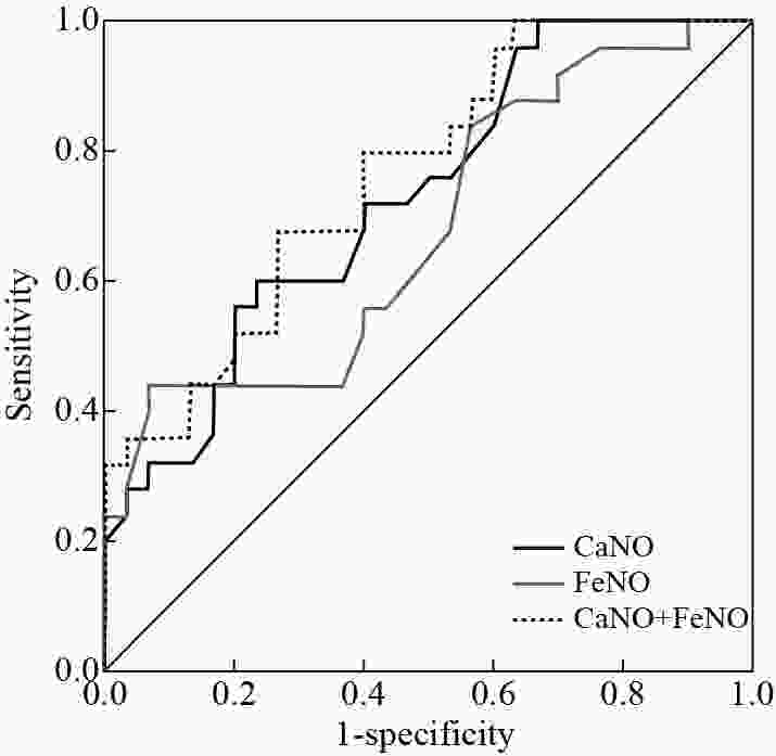 肺泡一氧化氮对哮喘患者小气道功能障碍的评估作用